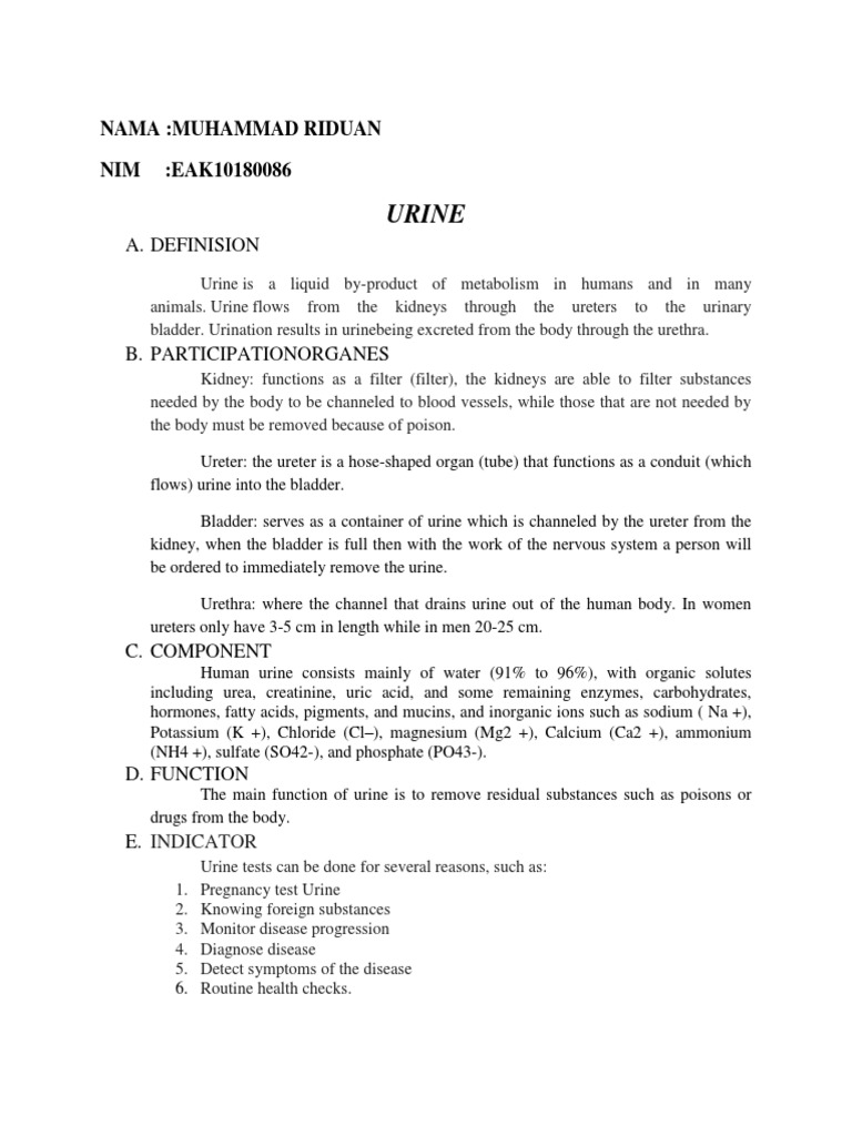 Urine: Nama:Muhammad Riduan NIM:EAK10180086 | PDF