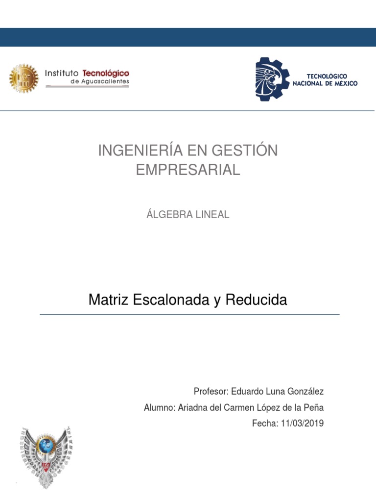 Matrices Escalonadas y Reducidas | PDF | Métodos y materiales de ...