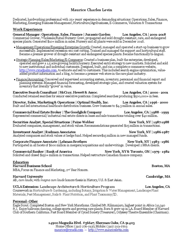 Maurice Levin Resume-CV 2019 | PDF | E Commerce | Inventory