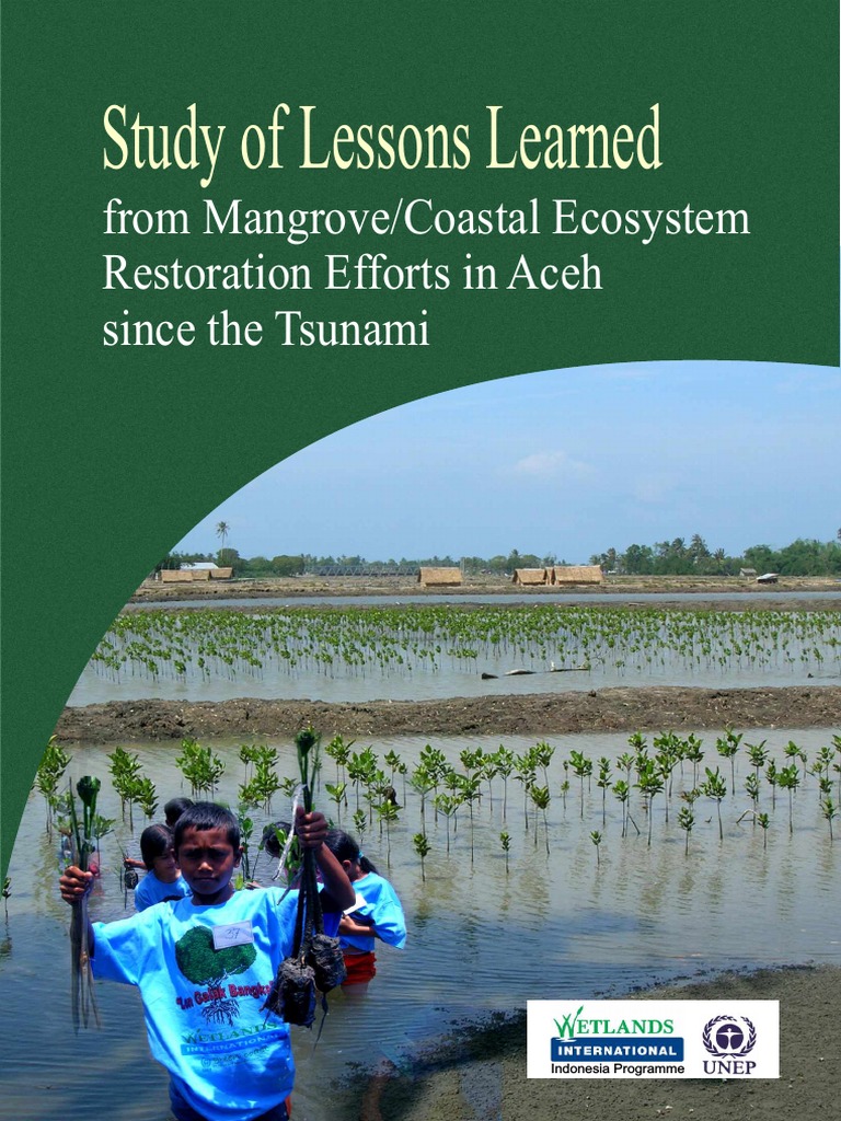 Tembakul | PDF | Mangrove | Coast