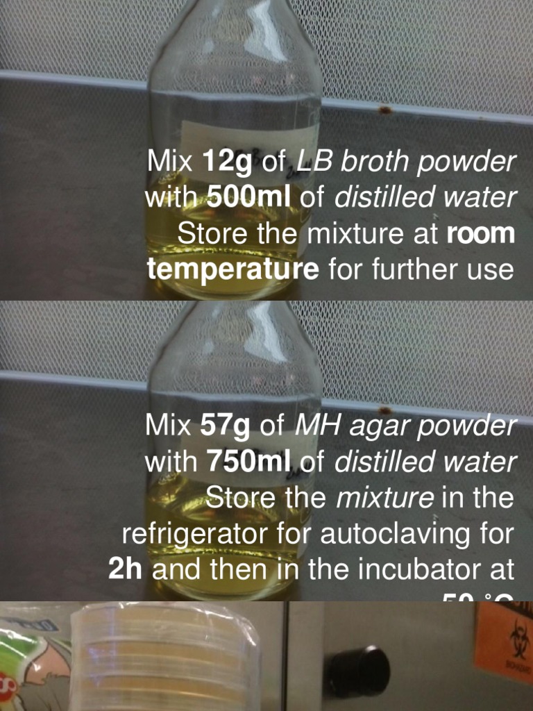 Mix 12g of LB Broth Powder With 500ml of Distilled Water Store The ...