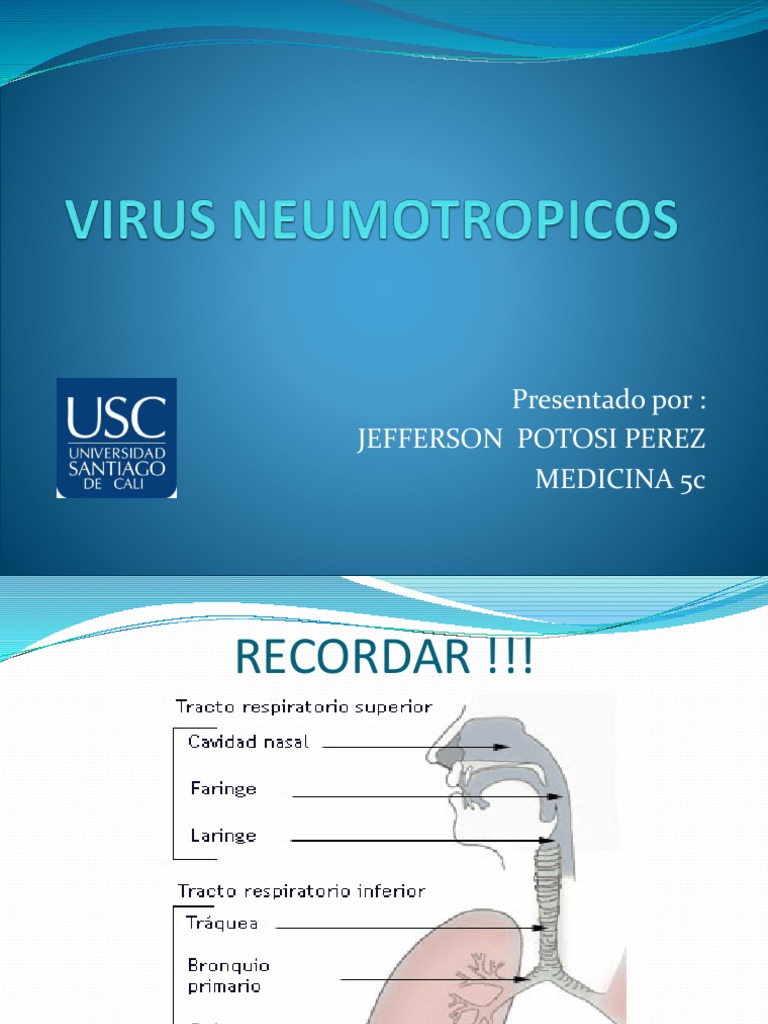 Virus Neumotropicos | PDF | Resfriado comun | Influenza