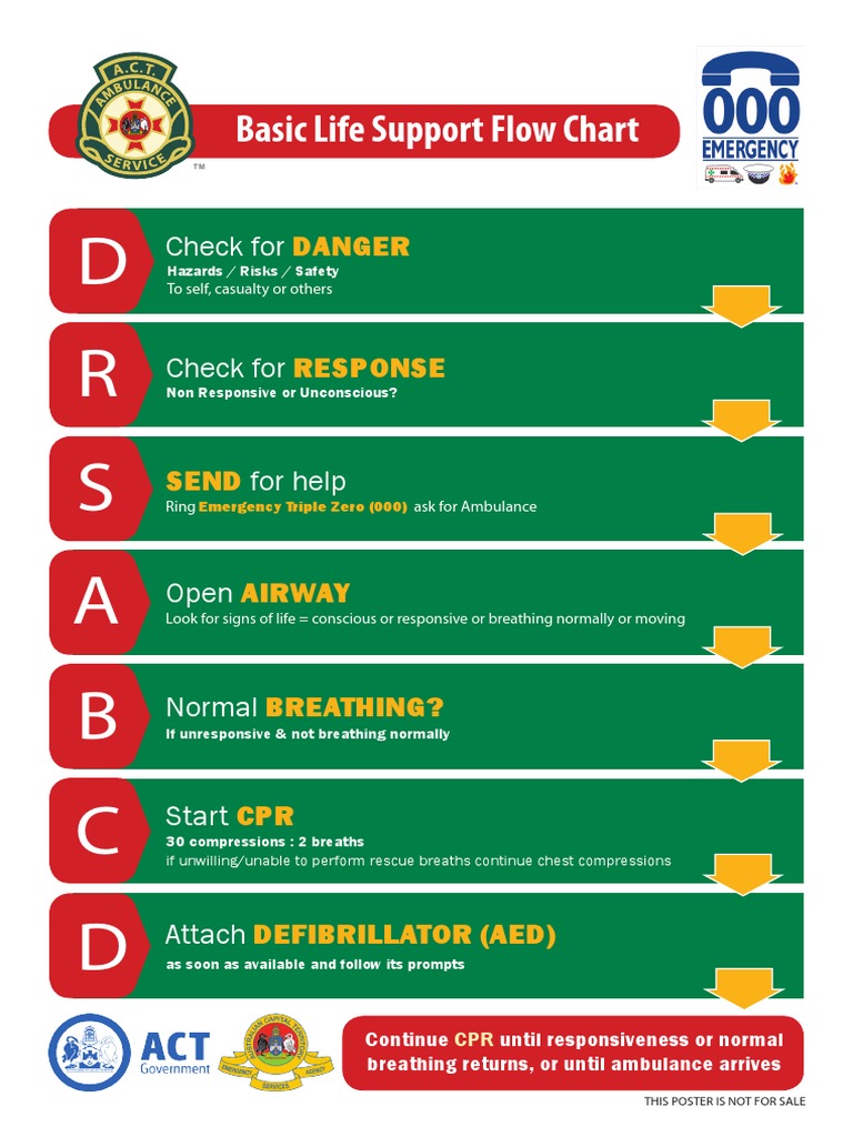 Basic Life Support Flow Chart Pdf