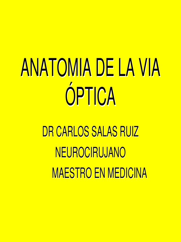 Anatomia de La Via Optica | PDF | Percepción visual | Corteza visual