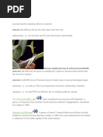 Adjectives For Describing A Plant | PDF | Plants | Flowers