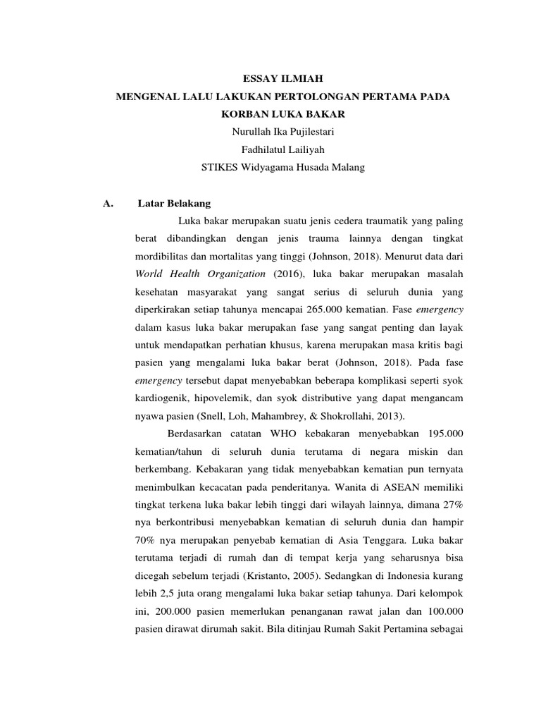 Pertolongan Pertama pada Luka Bakar | PDF