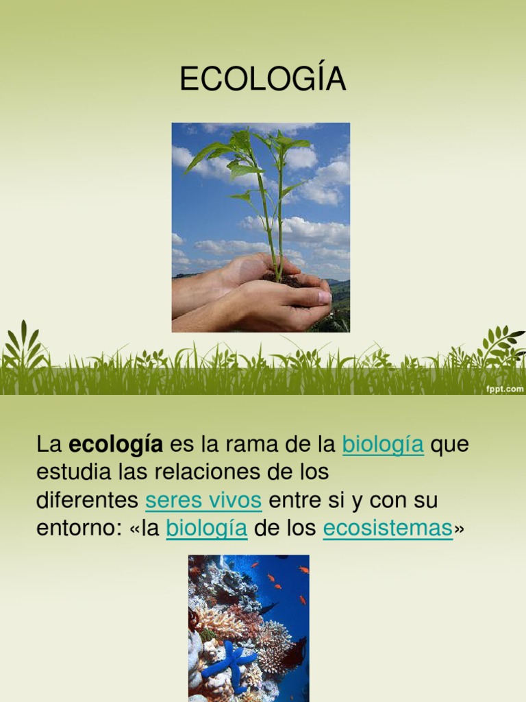 Ecología 1° Clase | PDF | Ecología | Biogeoquímica