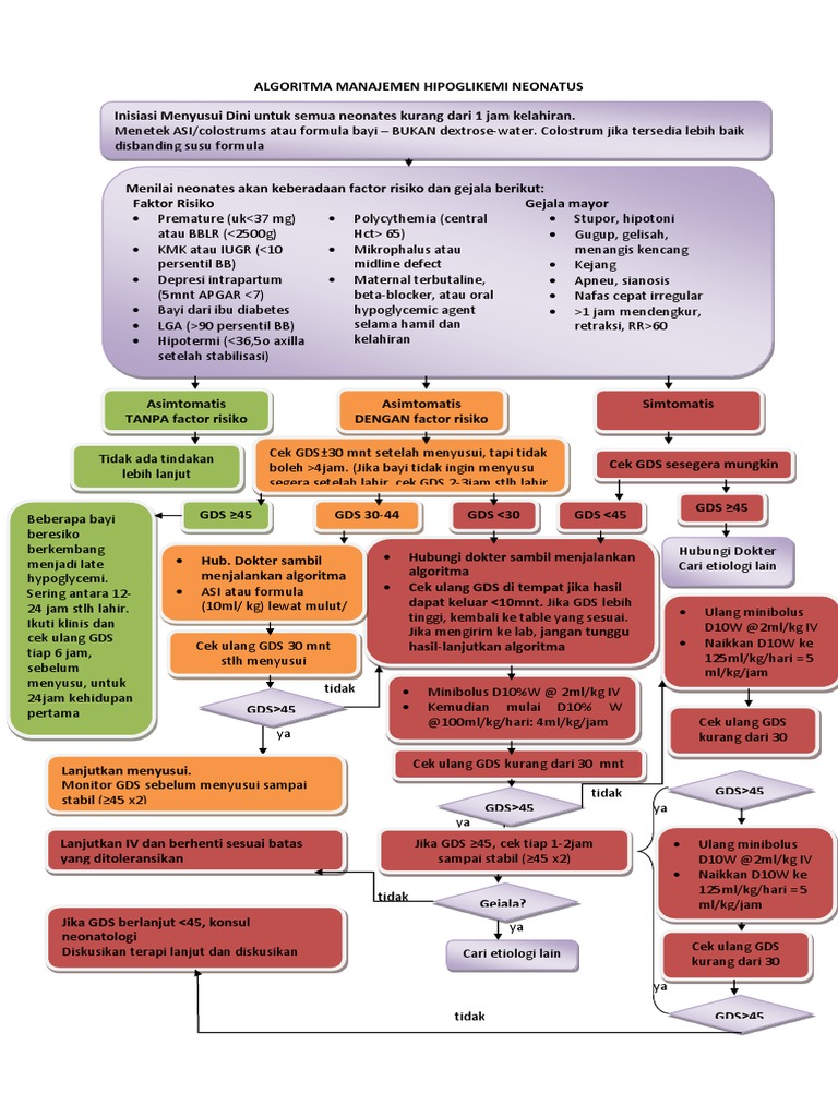 Algoritma Manajemen Hipoglikemia Pada Neonatus (Repaired) | PDF
