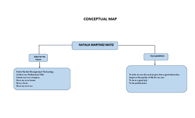 Conceptual Map | PDF