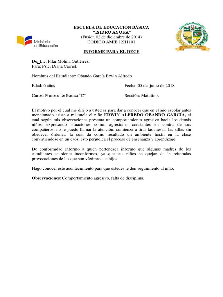 iNFORME AL DECE | PDF | Salud y bienestar