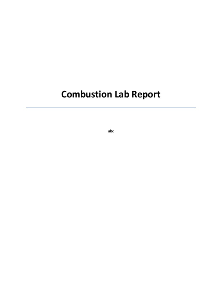 Revised Report | PDF | Combustion | Gases