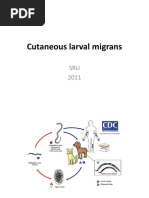CDC - DPDX - Hookworm - Images | PDF | Microscopy | Microbiology