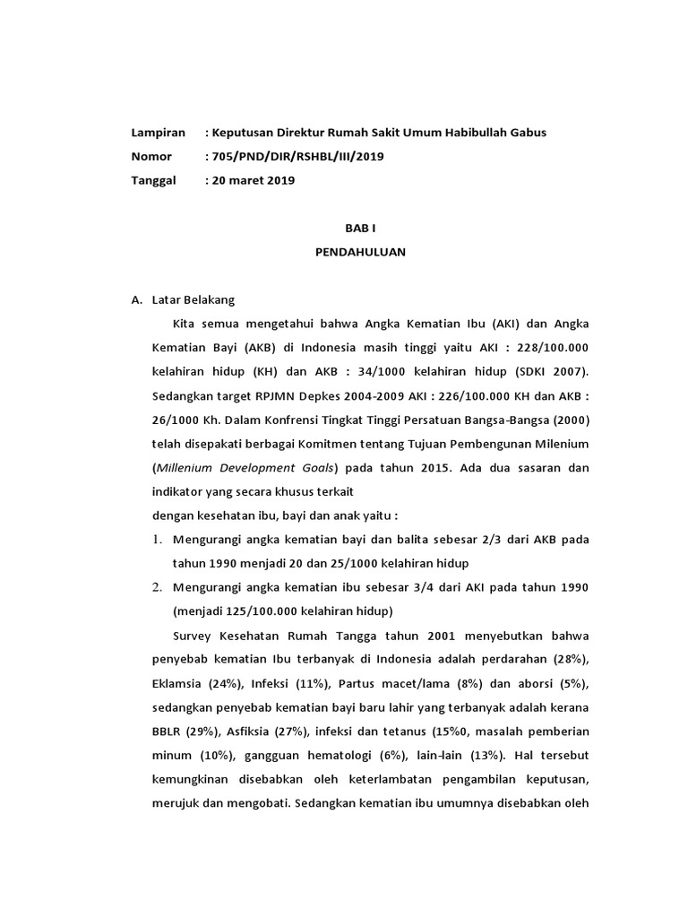 Panduan Pelayanan Ponek | PDF