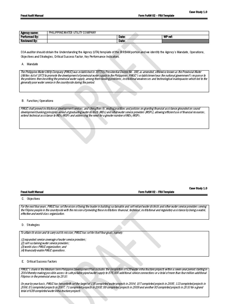 Case Study 1.0 Fraud Audit Manual Form Foam 02 - Fra Template | PDF ...