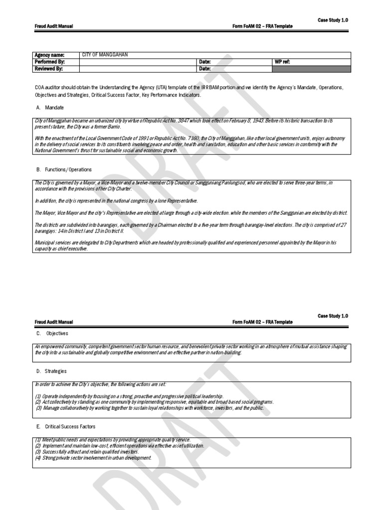 Case Study 1.0 Fraud Audit Manual Form Foam 02 - Fra Template | PDF ...