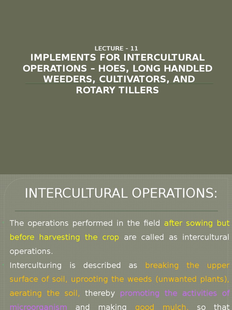 Implements For Intercultural Operations - Hoes, Long Handled Weeders ...