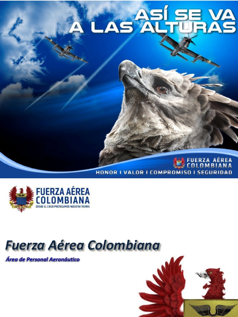 DESORIENTACIÓN | PDF | Perspectiva (Gráfica) | Percepción visual