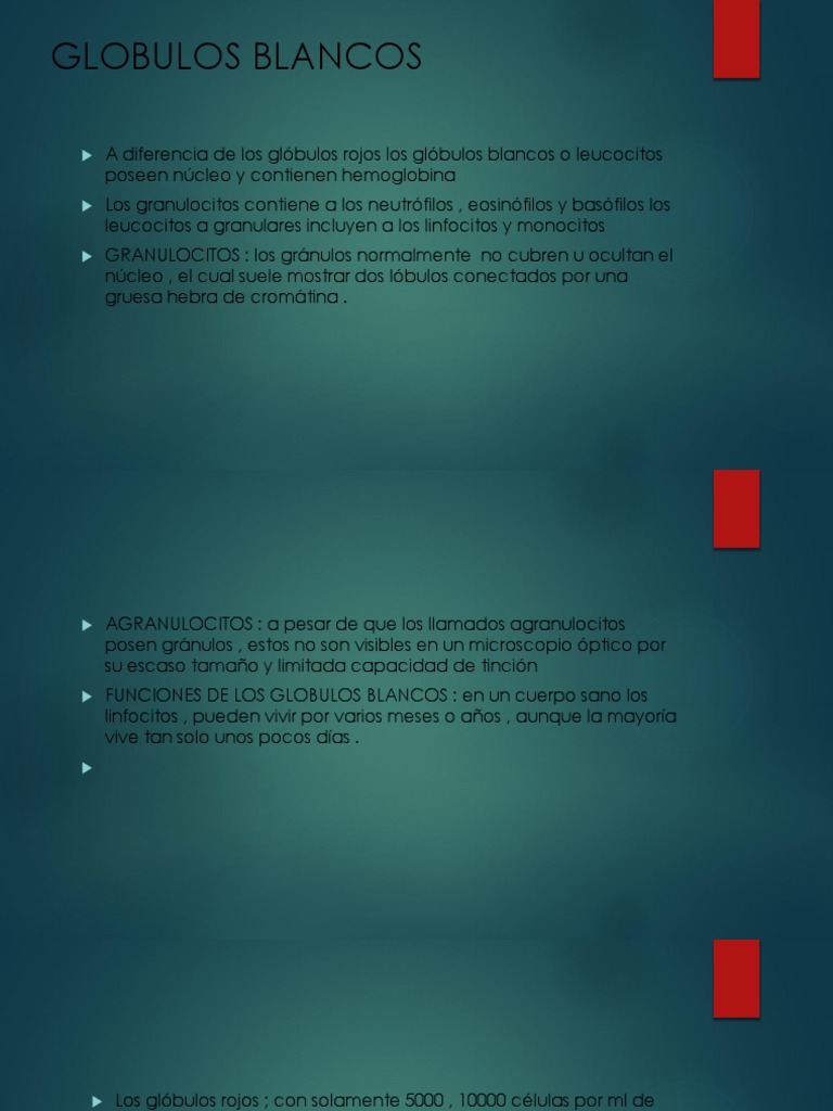 Globulos Blancos | PDF | Leucocito | Microscopía