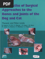 Snake Anatomy and Physiology | PDF | Snake | Senses