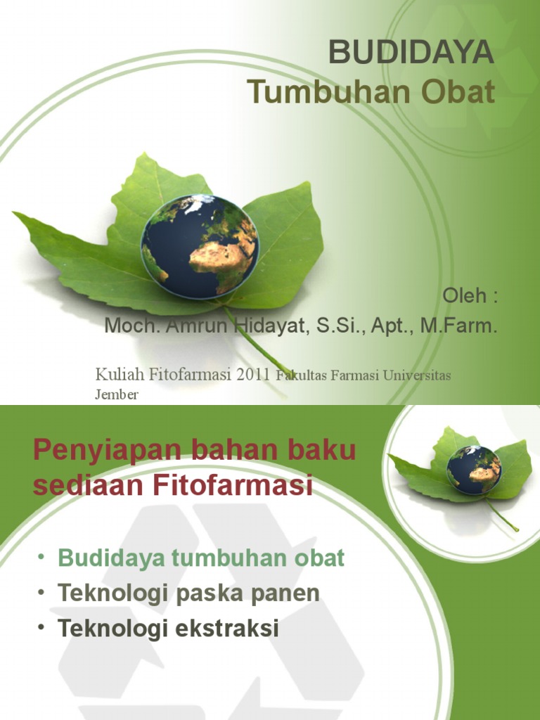 Budidaya Tumbuhan Obat | PDF | Manure | Agriculture