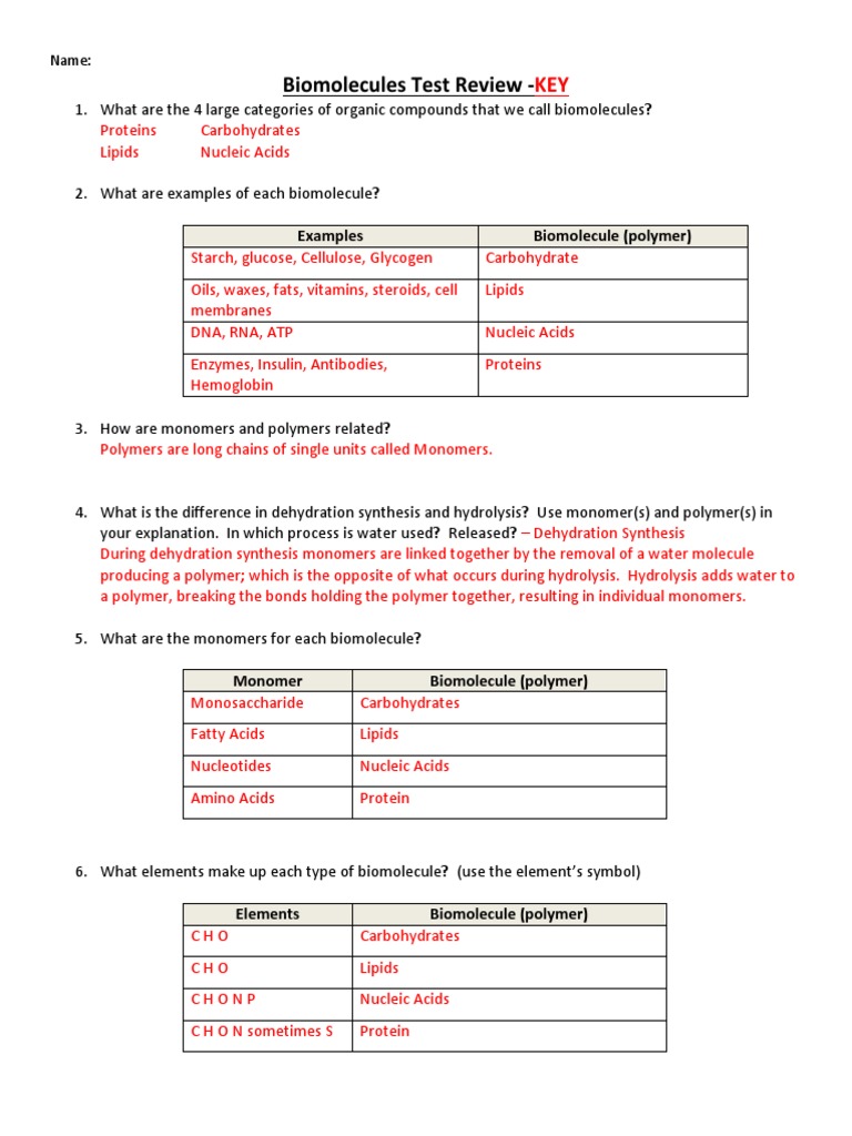 Biomolecule Study Guide | PDF | Biomolecules | Enzyme Inhibitor