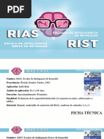 Manual Rias y Rist | PDF