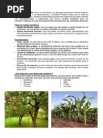 Suelos Humíferos - Características, Tipos y Animales - Lifeder PDF ...