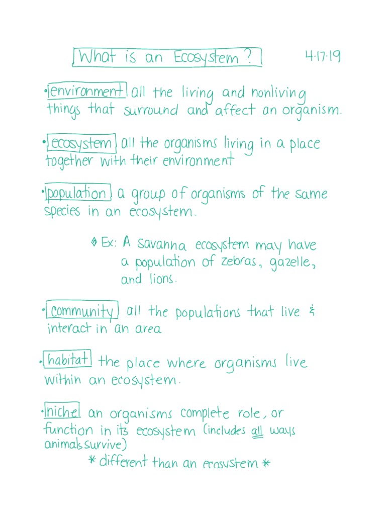 Unit 5-Lesson 1 - What Is An Ecosystem | PDF