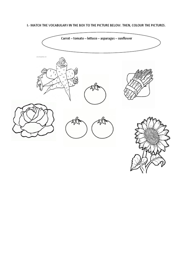 Kids' Food Vocabulary Activity | PDF