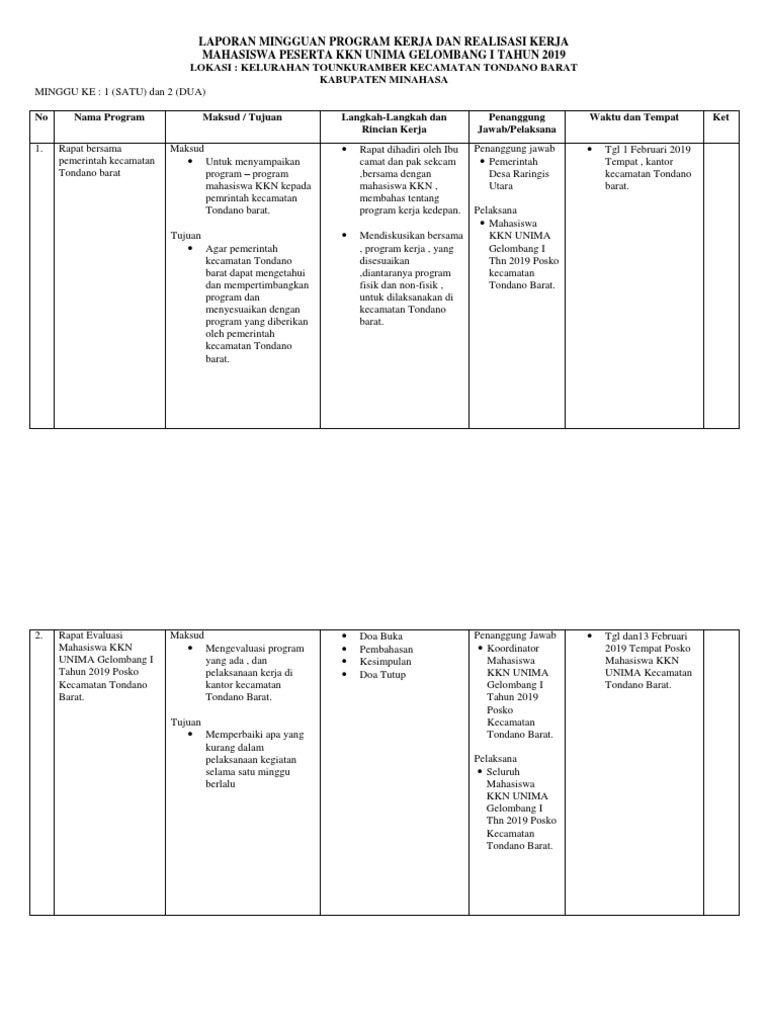Laporan Mingguan Program Kerja Dan Realisasi Kerja | PDF