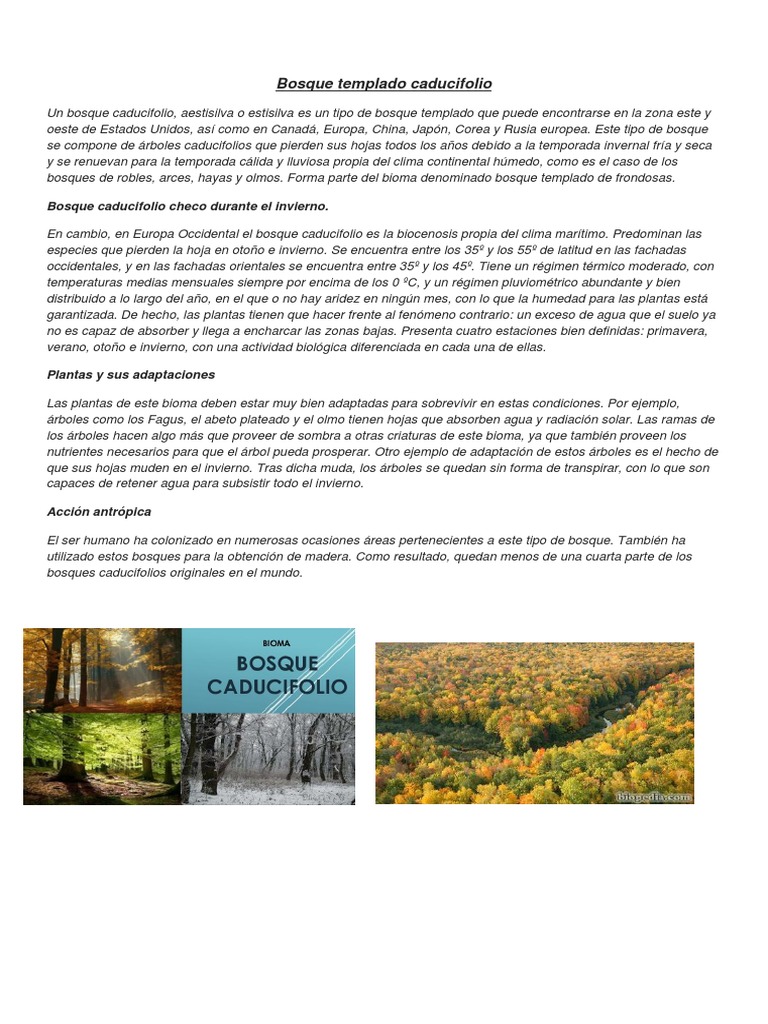 Biomas Del Mundo | PDF | Habitat | Desierto