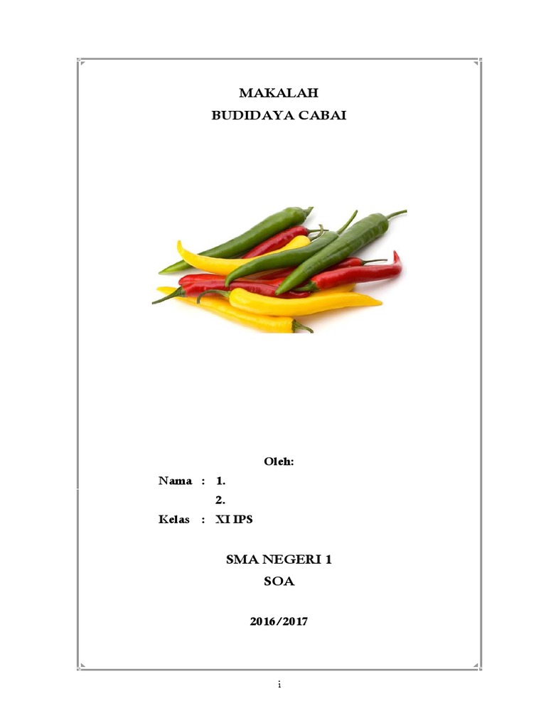 Panduan Budidaya Tanaman Cabai | PDF