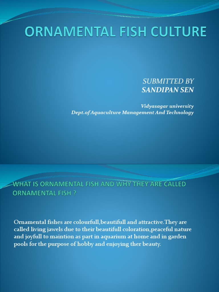 Submitted By: Sandipan Sen | PDF | Aquarium | Fishkeeping