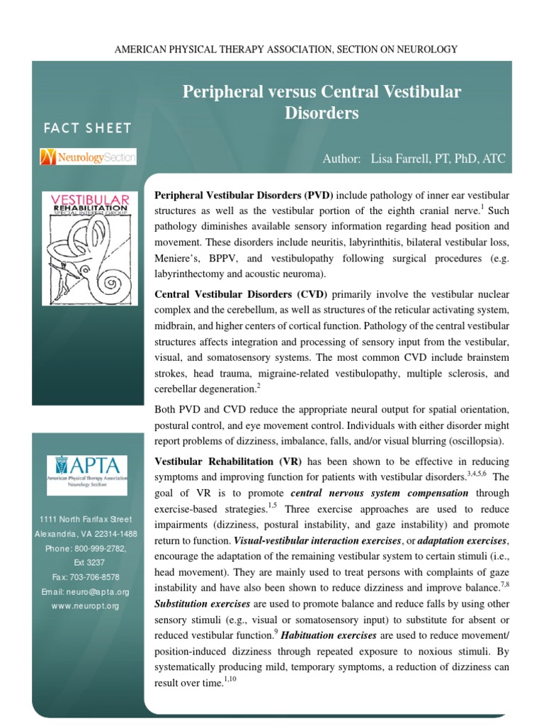 Peripheral Vs Central Vestibular Disorders | PDF | Vertigo | Vestibular ...