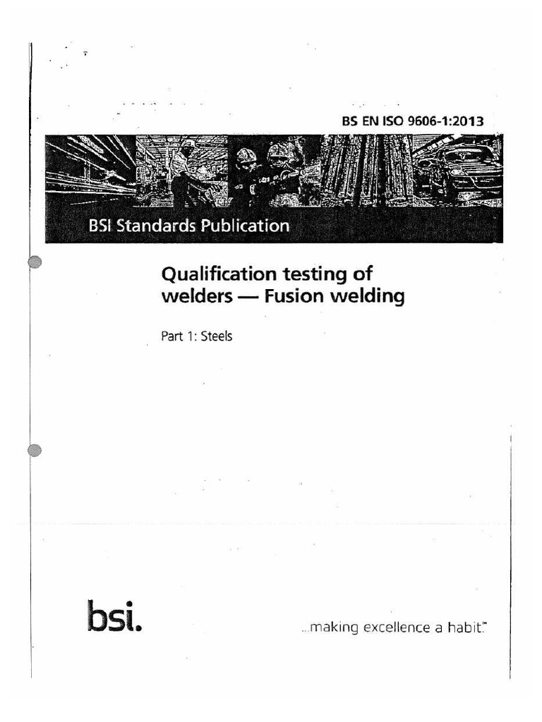 Iso 9606 1 PDF | PDF