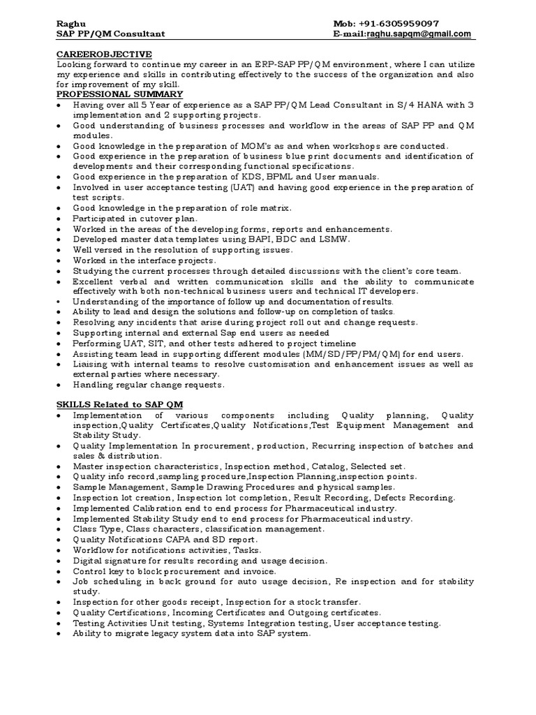 Raghu PPQM CV | PDF | Business Process | Invoice