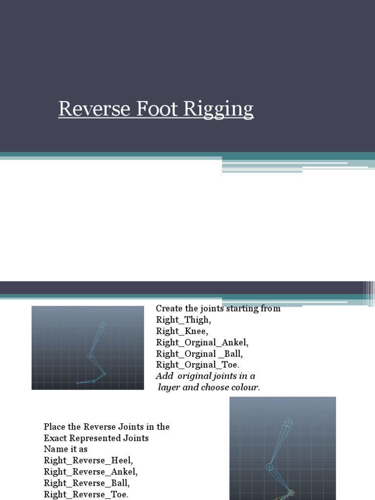Rev Foot | PDF | Teaching Mathematics