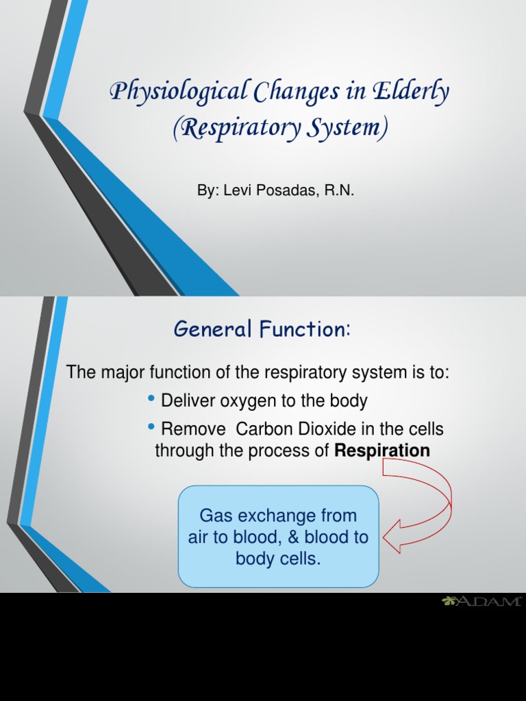 Physiological Changes in Elderly Respi | PDF | Respiratory Tract | Respiratory System