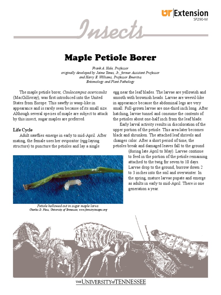 Insects and Related Pests of House Plants | PDF | Pesticide | Insects