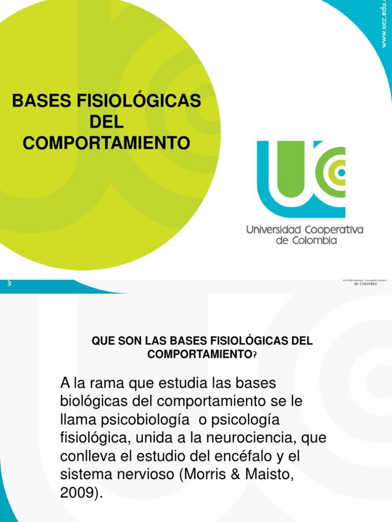 Bases Biologicas Del Comportamiento Pdf Neurociencia Conductual