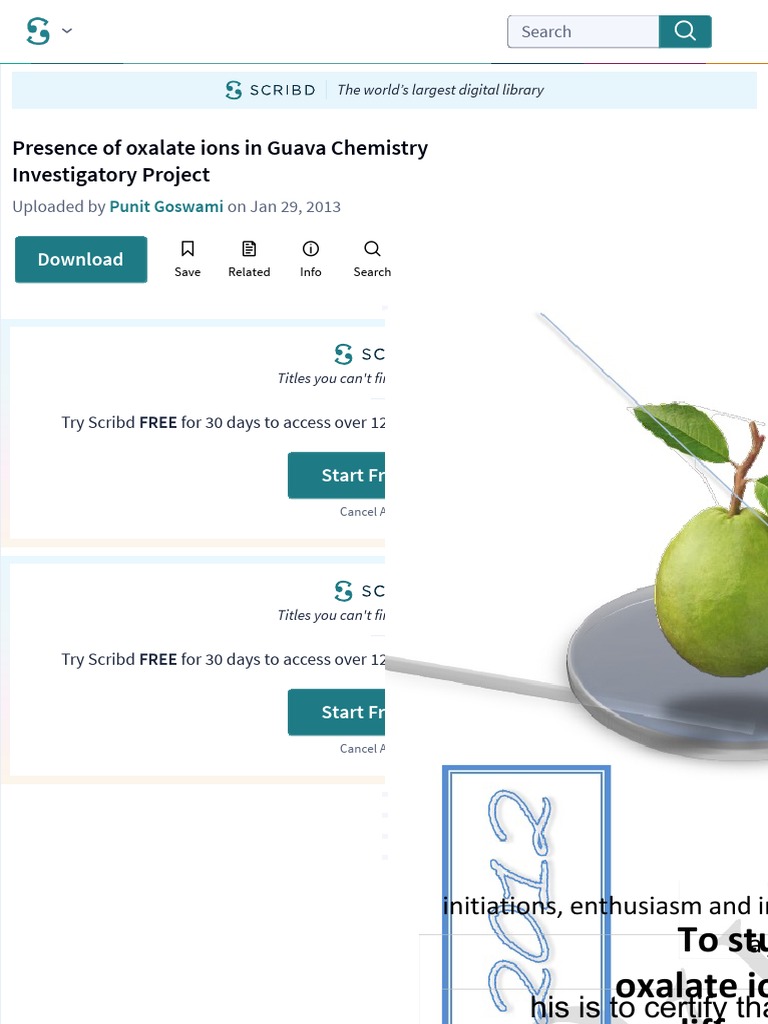 Presence of Oxalate Ions in Guava Chemistry Investigatory Project | PDF ...
