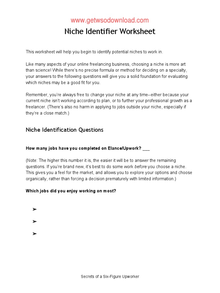 Niche Identifier Worksheet-2 | PDF | Cognition | Business