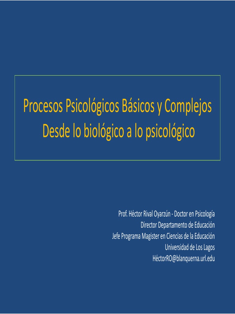 Procesos Psicológicos Básicos y Complejos | PDF | Percepción | Memoria