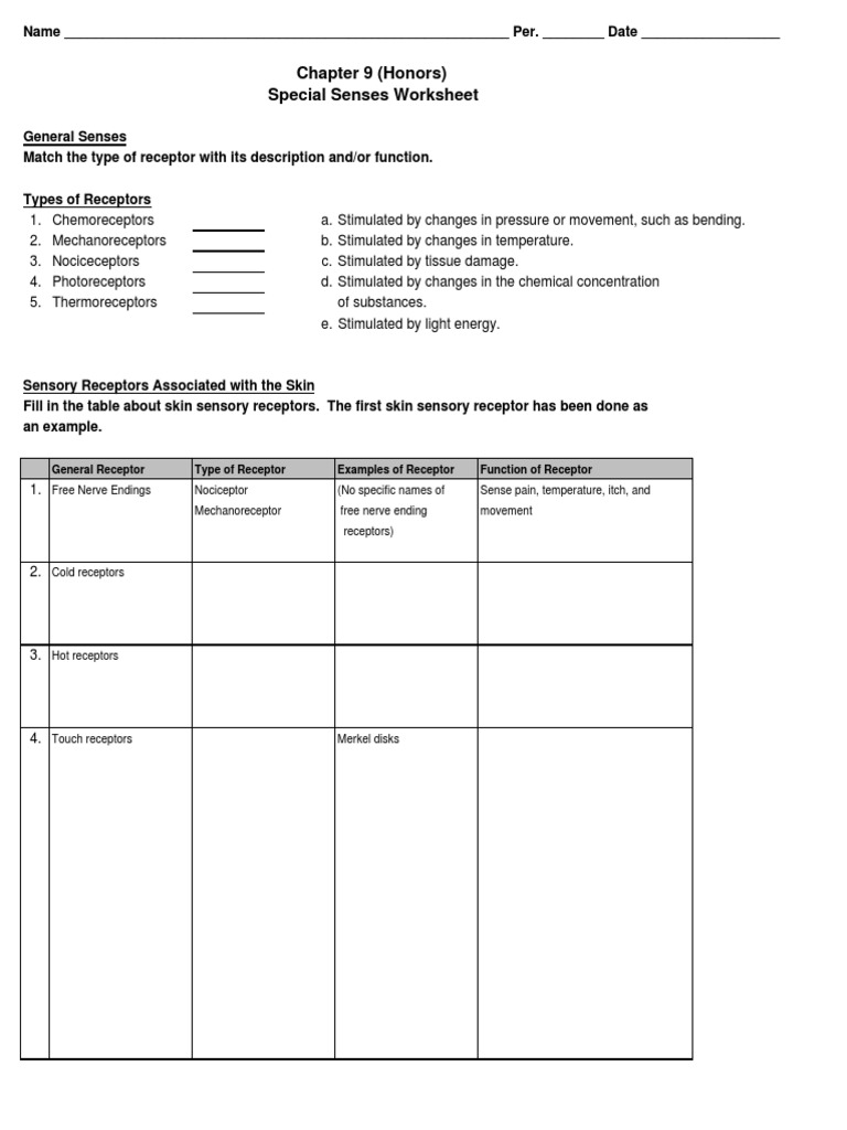 Special Senses Worksheet for Honors Class | PDF | Olfaction | Ear