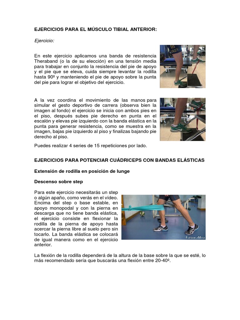 Ejercicios para El Músculo Tibial Anterior | PDF | Rodilla ...