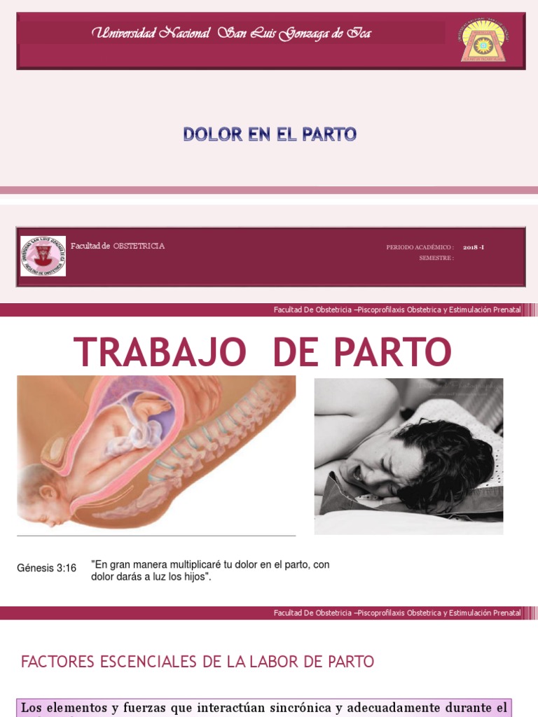 PSICOPROFILAXIS | PDF | Parto | Partería