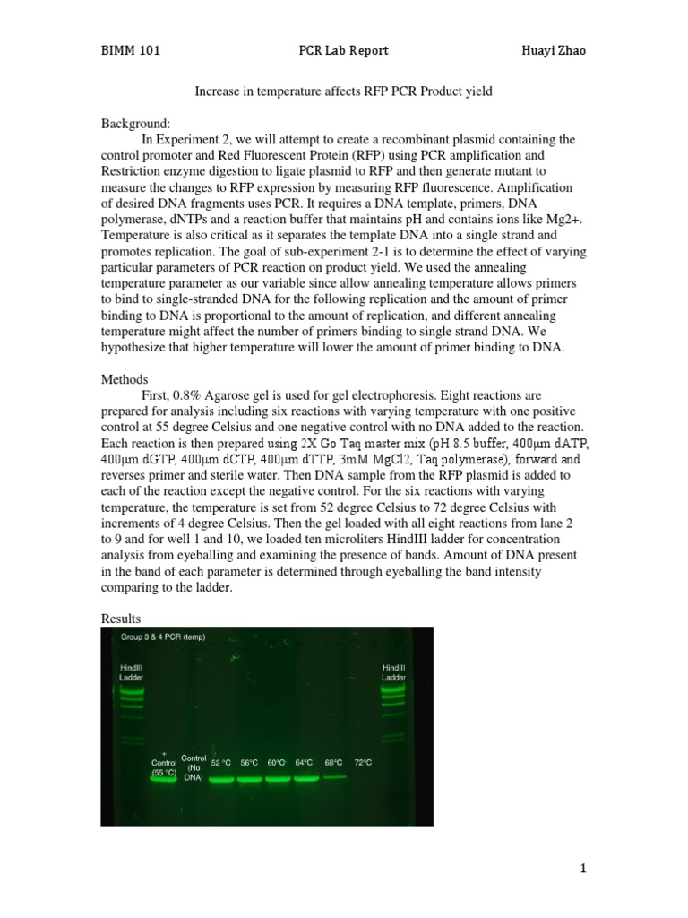 PCR Lab Report | Download Free PDF | Polymerase Chain Reaction | Primer ...