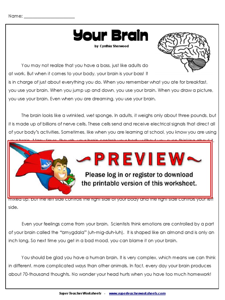 Brain PDF | PDF | Human Brain | Brain