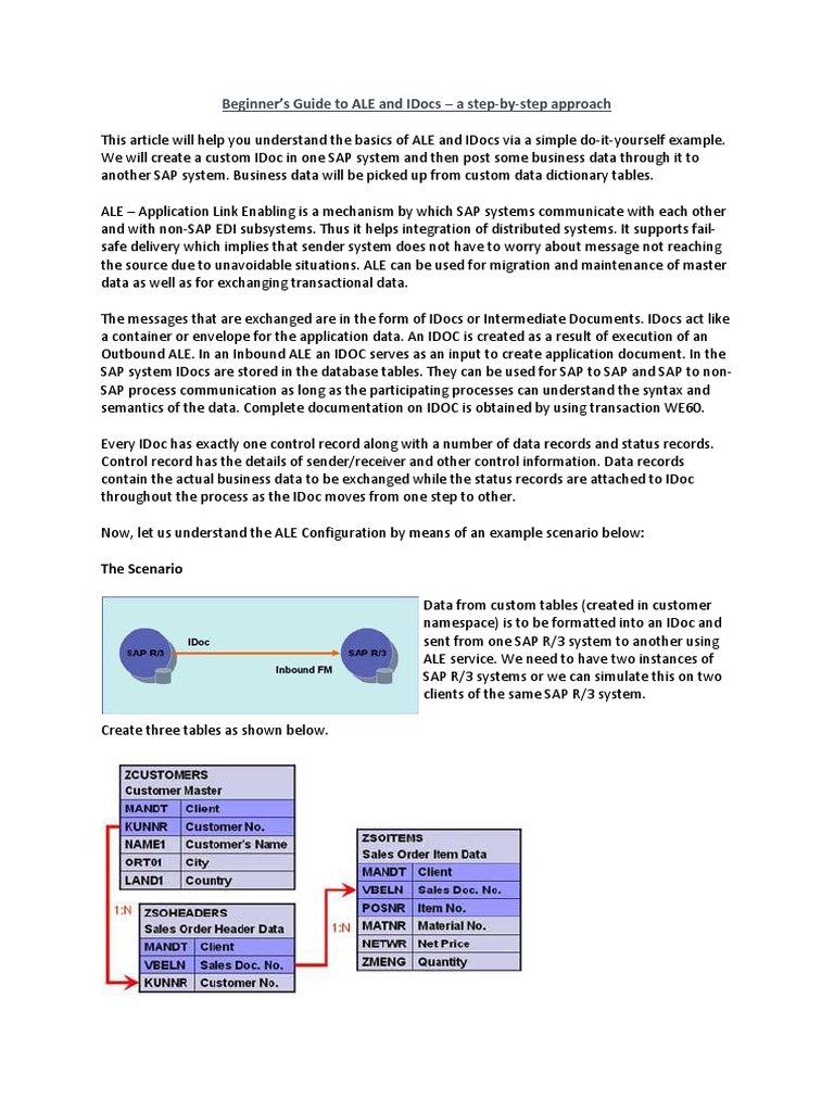 SAP Idoc Steps by Step Config | PDF | Object (Computer Science) | Database Transaction