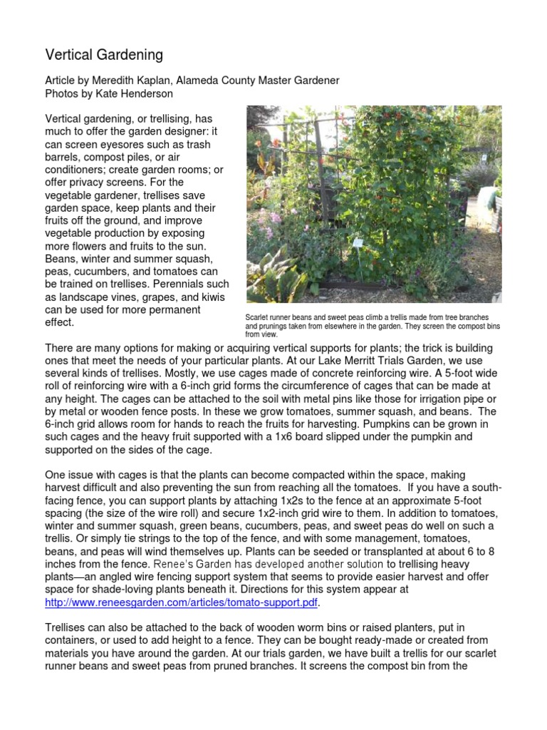 Vertical Gardening | PDF | Gardens | Fruit